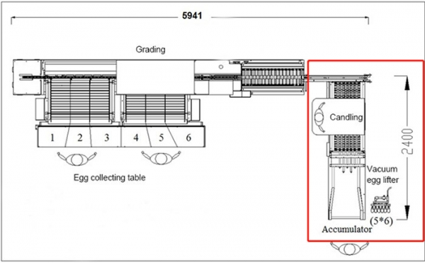 Egg Grader Machine with Ink Jet Printer