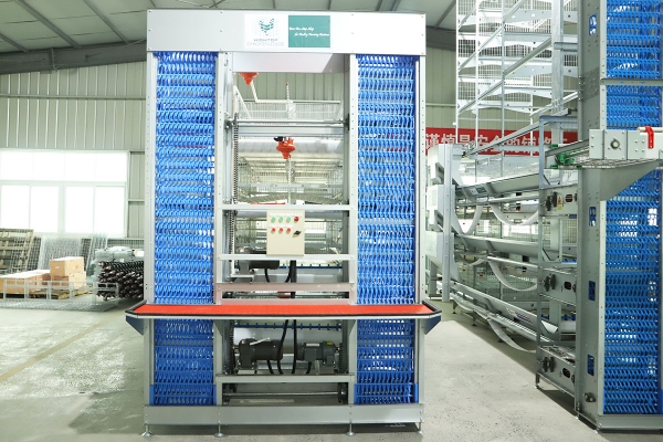 Automatic Egg Collection System, Poultry Egg Collection Machine