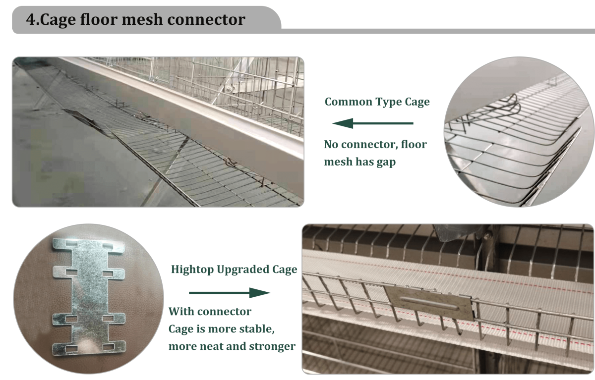 Layer Chicken Cage, Battery Cage System Manufacturers & Supplier