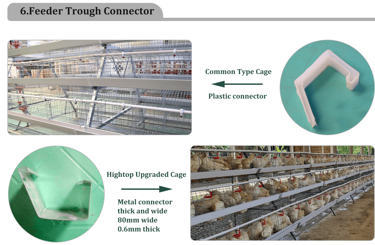 Layer Chicken Cage, Battery Cage System Manufacturers & Supplier