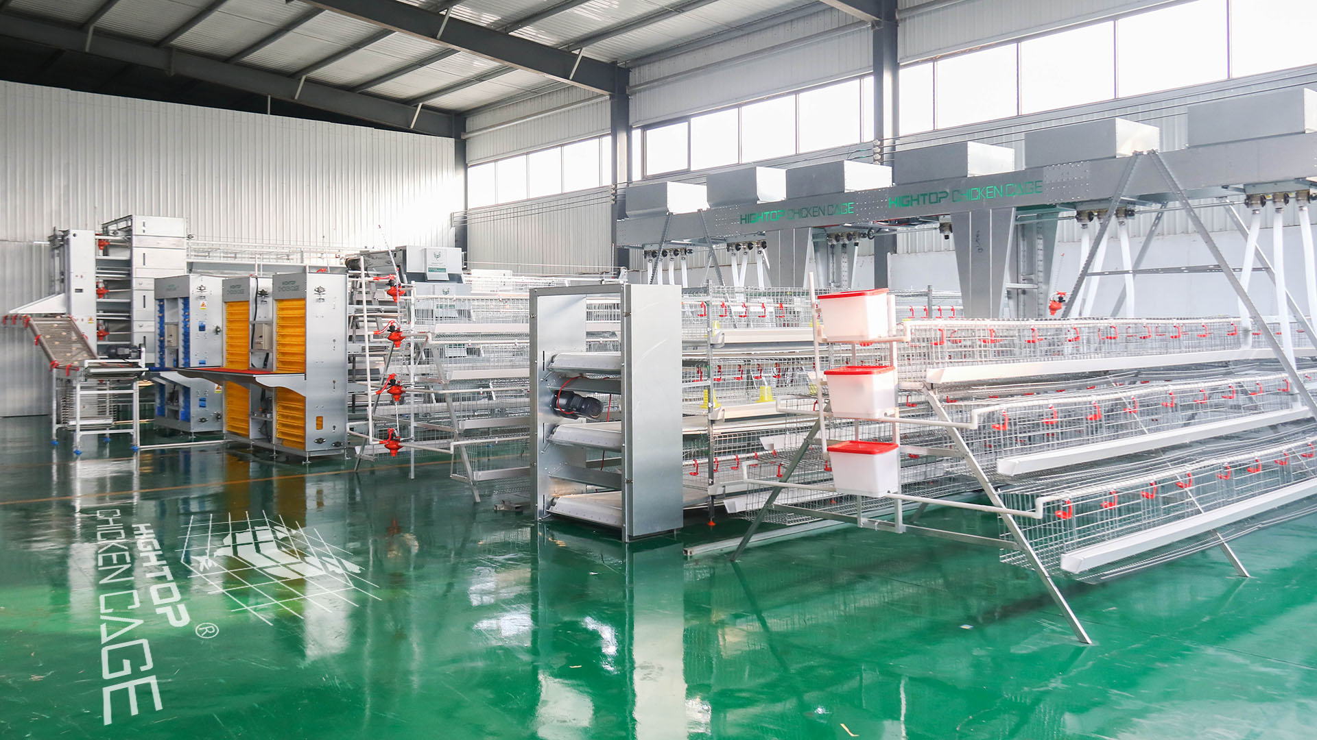 Hightop Poultry Equipment Supplier -Chicken Farming Equipment Manufacturer