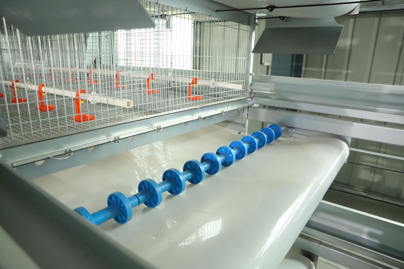 Fully Automatic Layer Poultry Farm Equipment for Chicken Farming