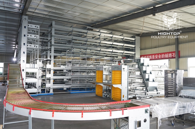 Hightop Poultry Equipment Supplier -Chicken Farming Equipment Manufacturer