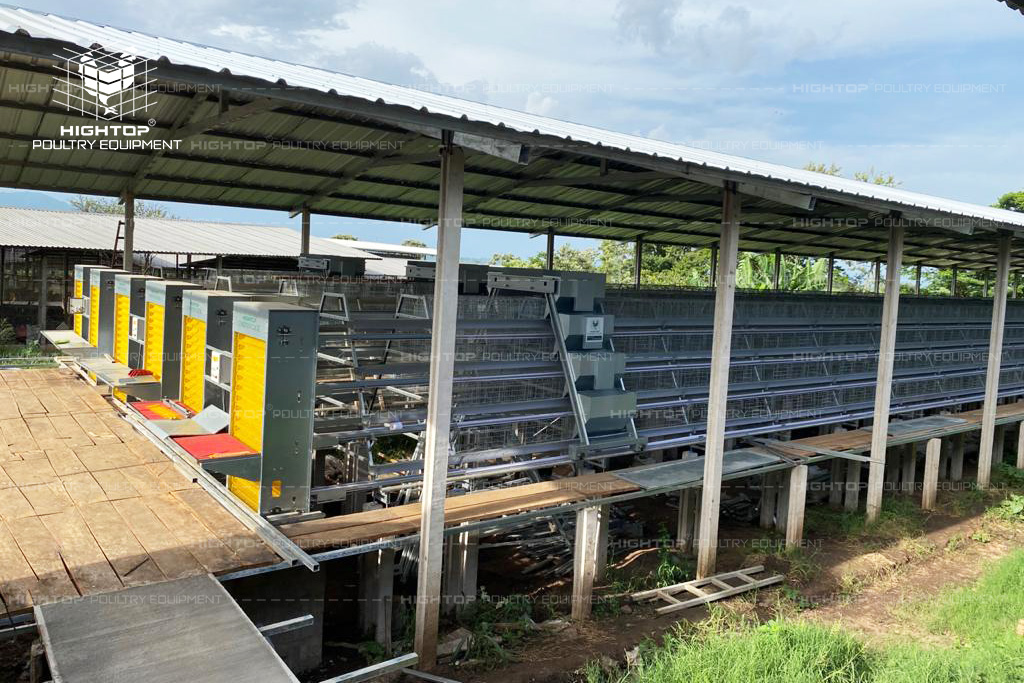 Backyard Native Chicken House Design Philippines Vrogue co