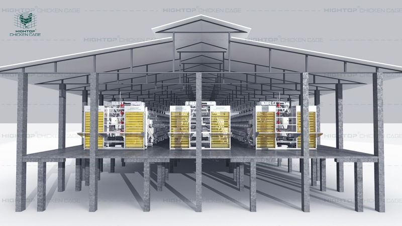 Hightop Poultry Equipment Supplier -Chicken Farming Equipment Manufacturer
