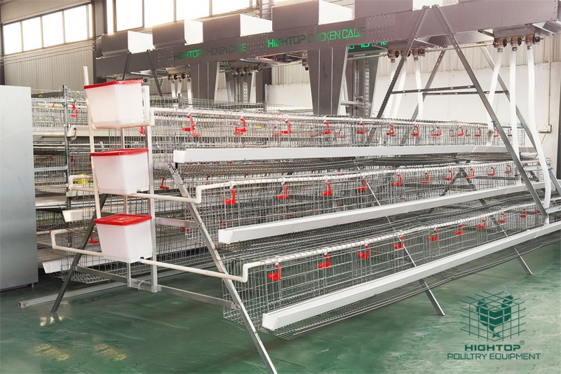 Hightop Poultry Equipment Supplier -Chicken Farming Equipment Manufacturer
