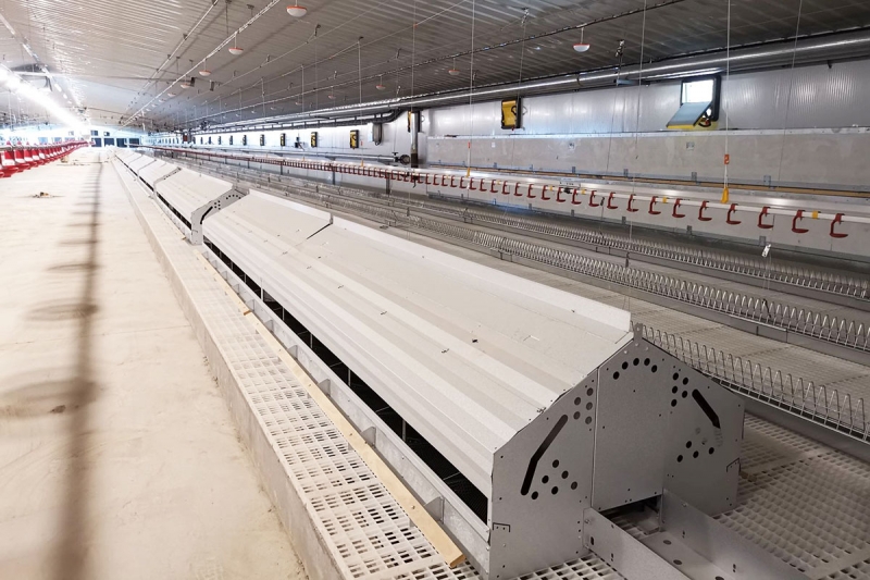 Slatted Floor System, Plastic Poultry Flooring for Cage Free Chicken Farm