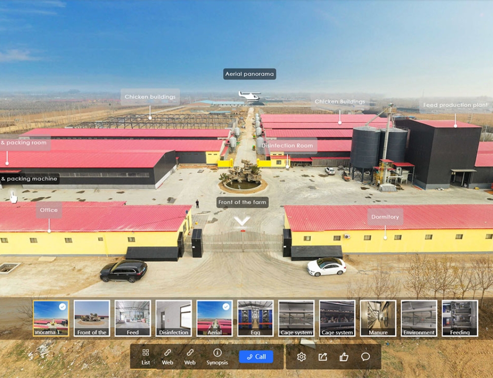 Poultry Farm Project of Native Chicken Farming in Philippines