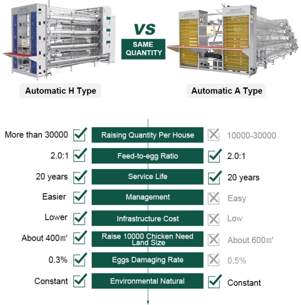 H Type Automatic Egg Layer Chicken Farm Laying Hens Poultry Battery ...