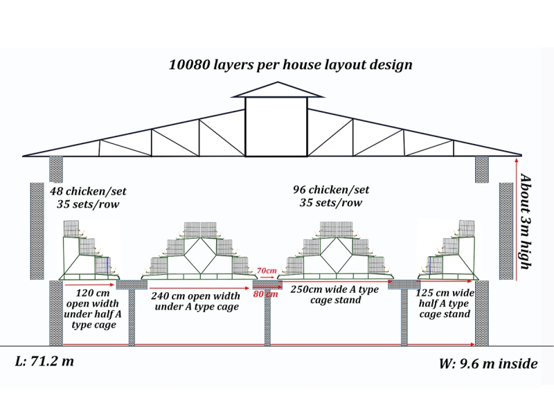 Layer Chicken Cage Project - Hightop® Poultry Equipment