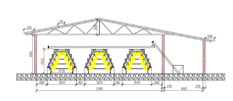 A Type Battery Cage - Hightop® Poultry Equipment
