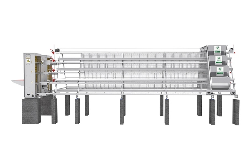 A type battery cages for sale