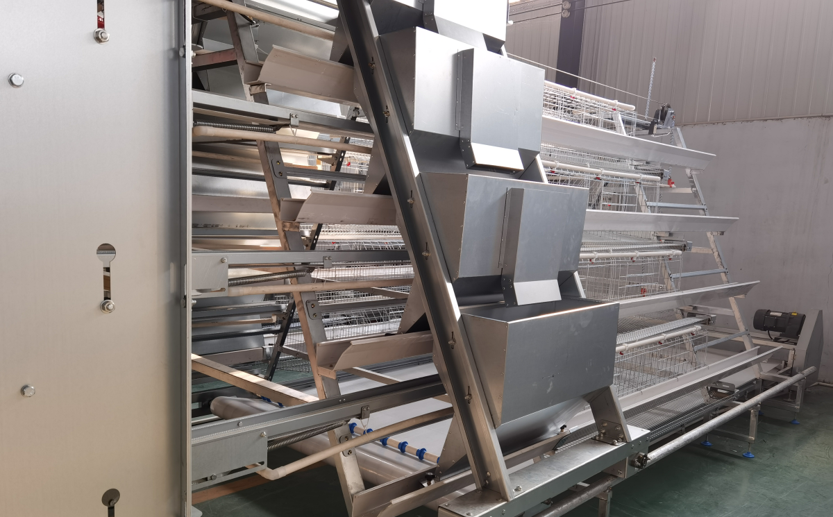 A Type Battery Cage - Hightop® Poultry Equipment