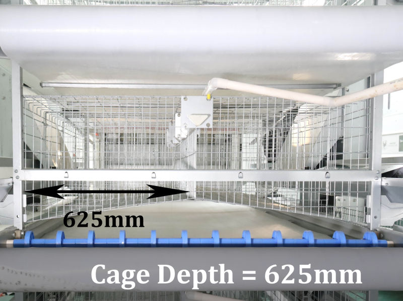 H Type Battery Cage - Hightop® Poultry Equipment