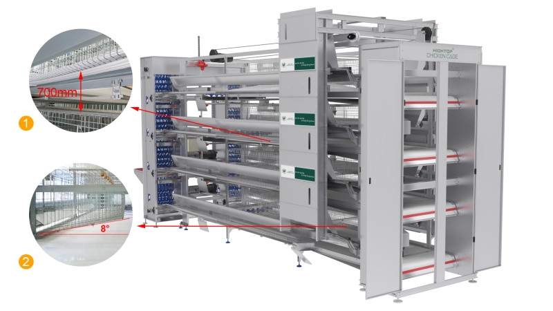 H Type Battery Cage - Hightop® Poultry Equipment