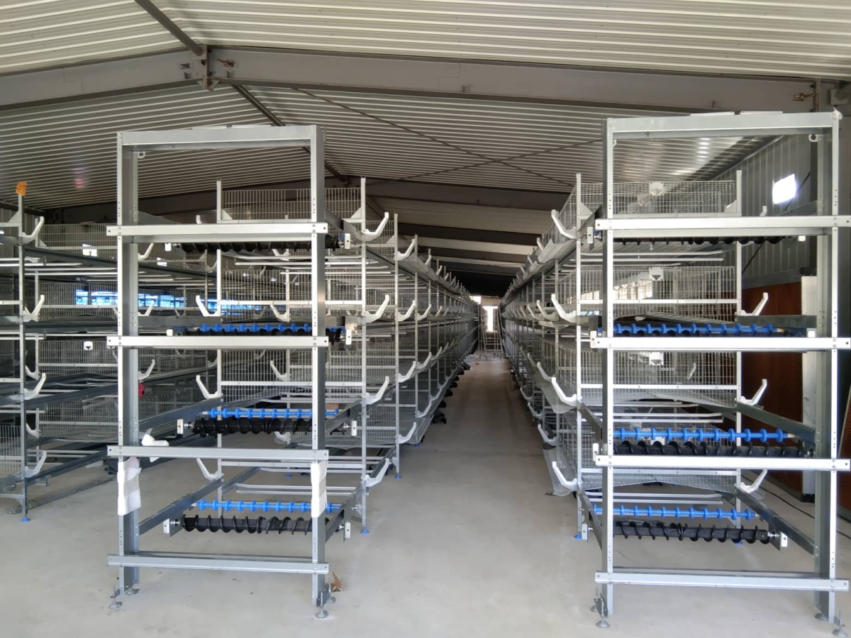 Layer Chicken Cage Project - Hightop® Poultry Equipment
