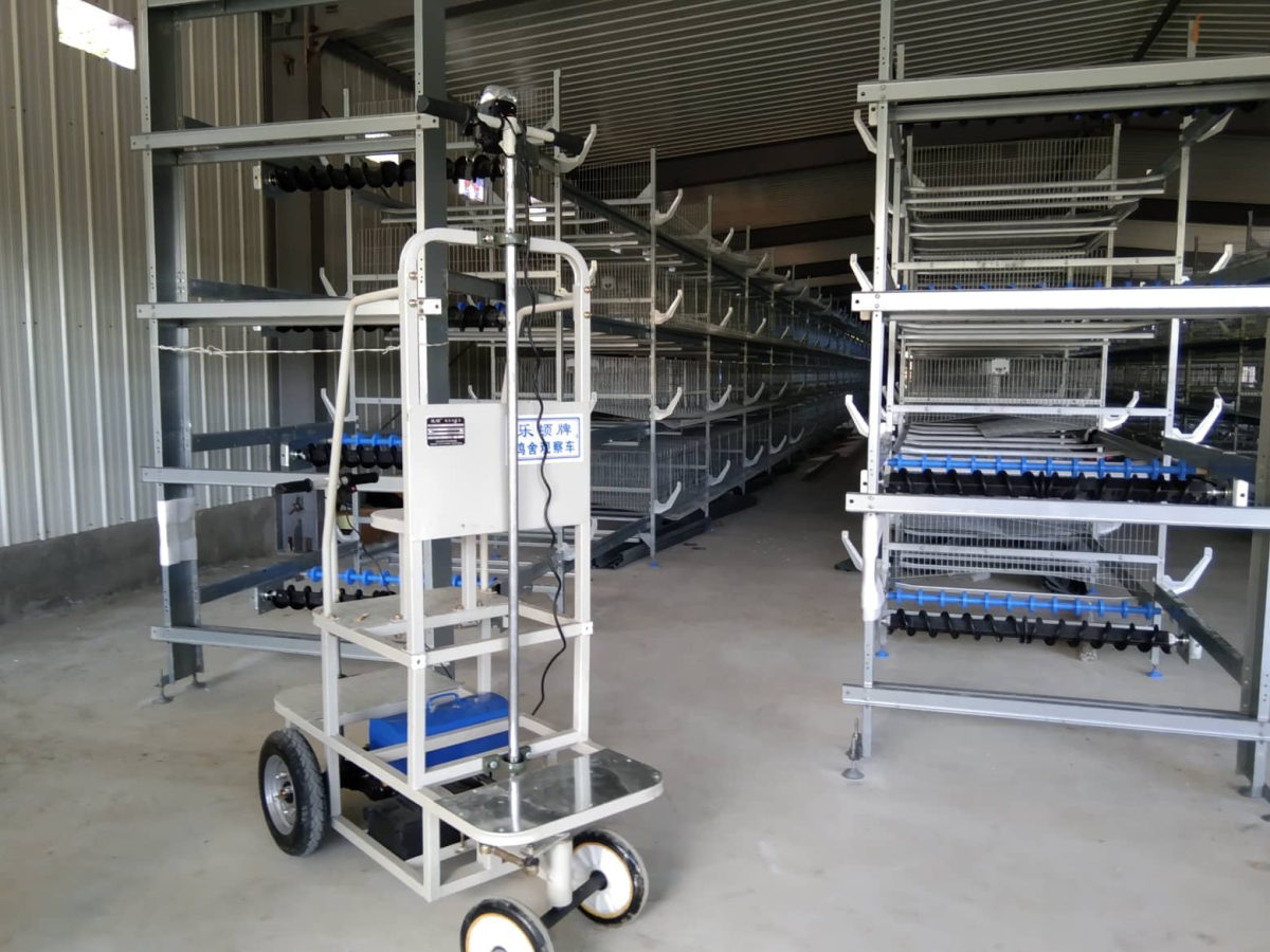 H Type Battery Cage Project - Hightop® Poultry Equipment