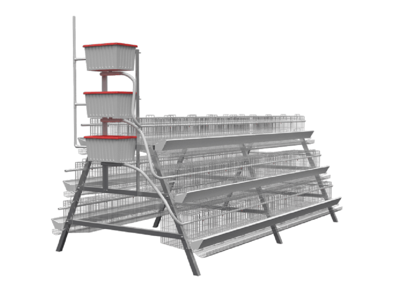 Layer Chicken Cage Project - Hightop® Poultry Equipment