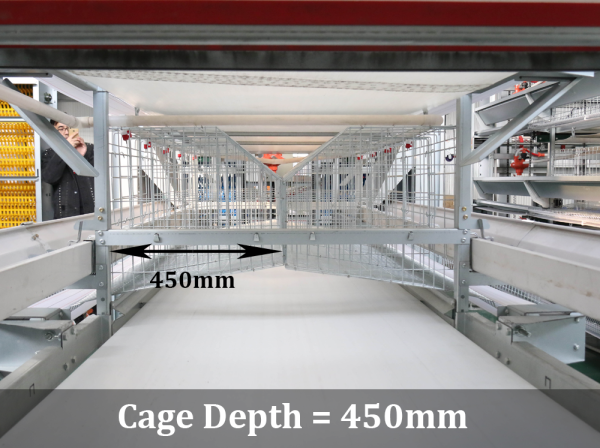 H Type Battery Cage - Hightop® Poultry Equipment