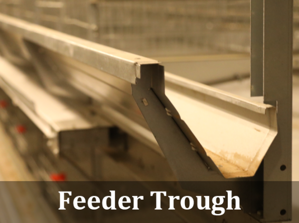 H Type Battery Cage - Hightop® Poultry Equipment