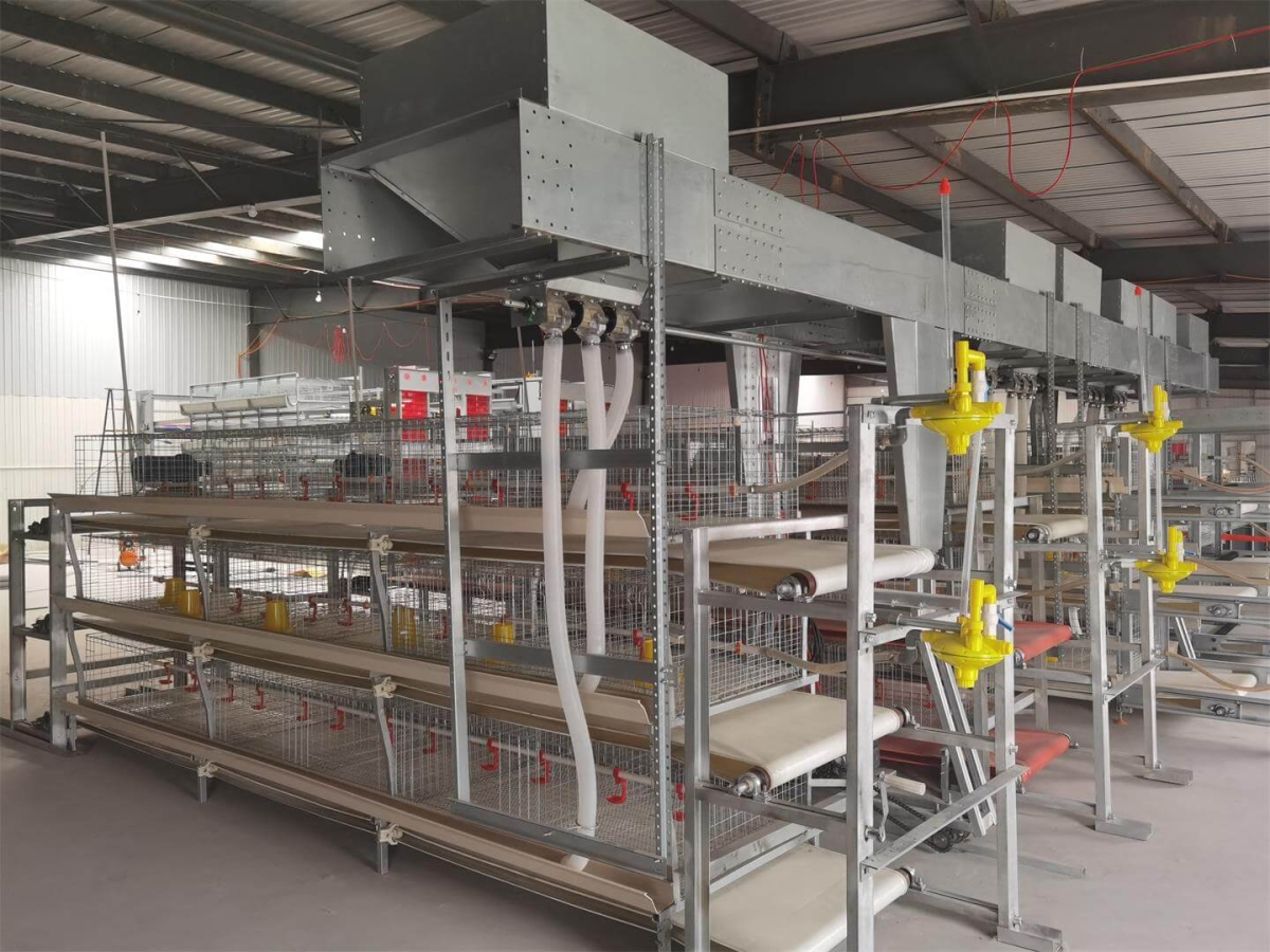 Manual Bird-Harvesting Broiler Chicken Cage - Hightop® Poultry Equipment