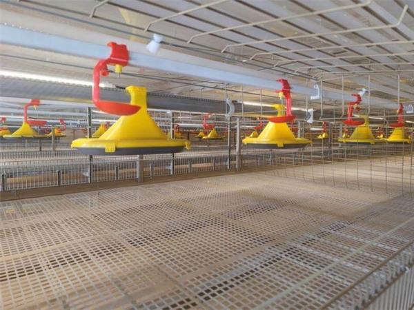 New Chain Type Harvesting Broiler cage-HIGHTOP Automatic Broiler Cage ...