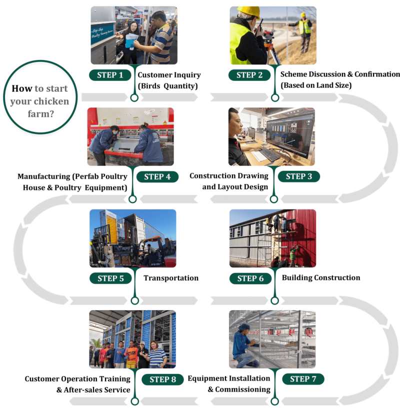 Automatic Broiler Chicken Cage- HIGHTOP Broiler Cage - Hightop® Poultry Equipment