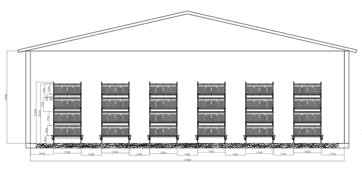 New Chain Type Harvesting Broiler cage-HIGHTOP Automatic Broiler Cage ...