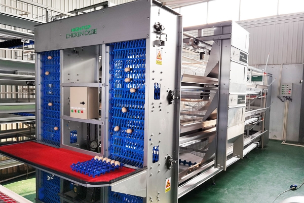 Automatic Egg Collection System, Poultry Egg Collection Machine