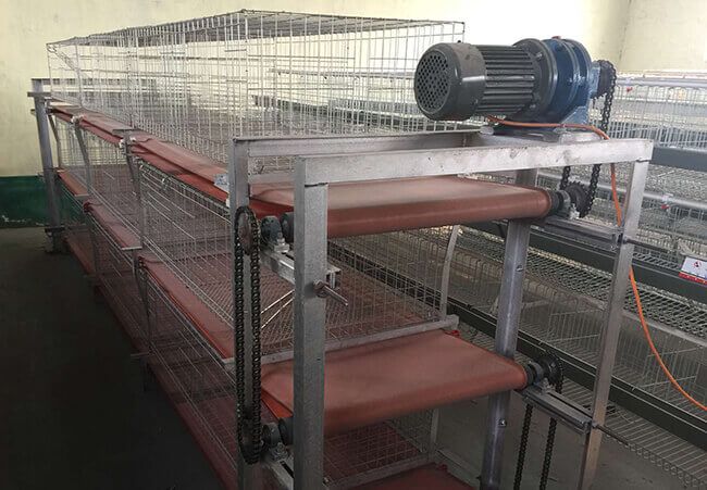 H Type Broiler Cage System for Sale - Hightop® Poultry Equipment