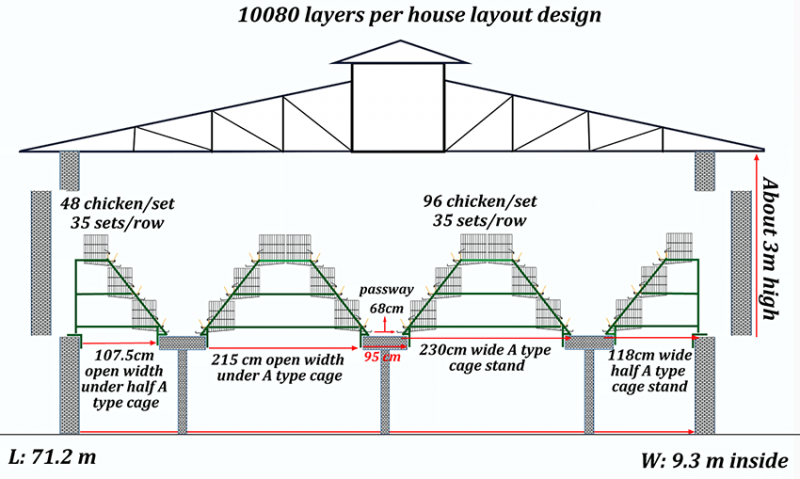Layer Chicken Cage, Battery Cage System Manufacturers & Supplier