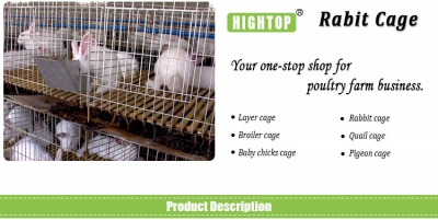 Commercial Rabbit Cages for Rabbit Farming