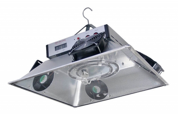 Poultry Brooder-Heat Light, Infrared Heat Lamp, Diesel Heater, Gas Heater