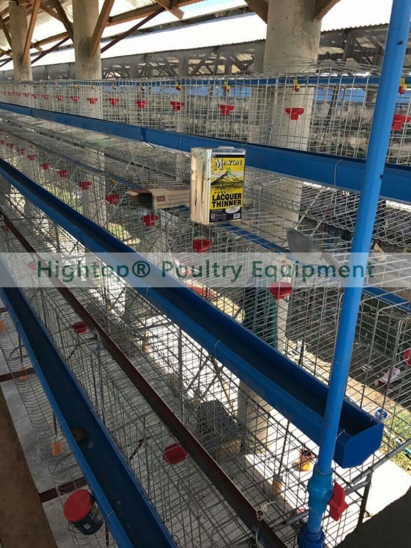 Poultry Farm Battery Cage Project in Zambia - Hightop® Poultry Equipment