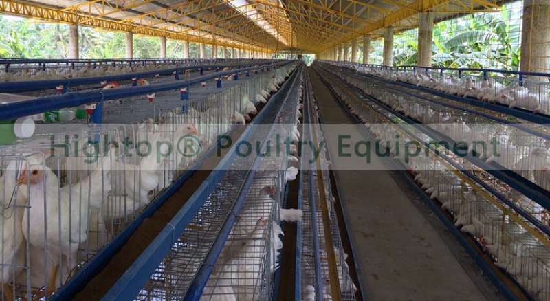 How to Control the Environment of an Open Type Poultry House