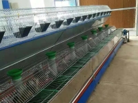 Commercial Rabbit Cages for Rabbit Farming